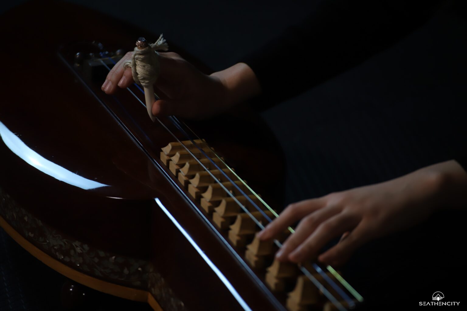 Plucked Strings - Seathencity