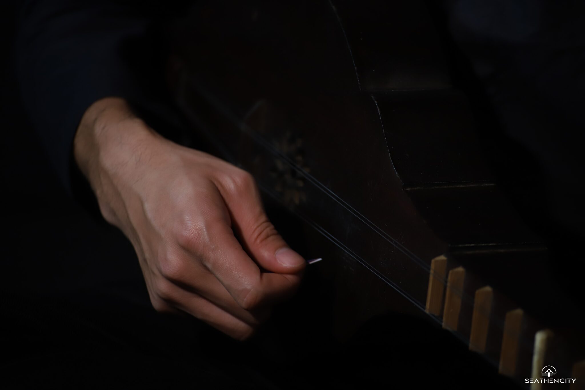 Plucked Strings - Seathencity